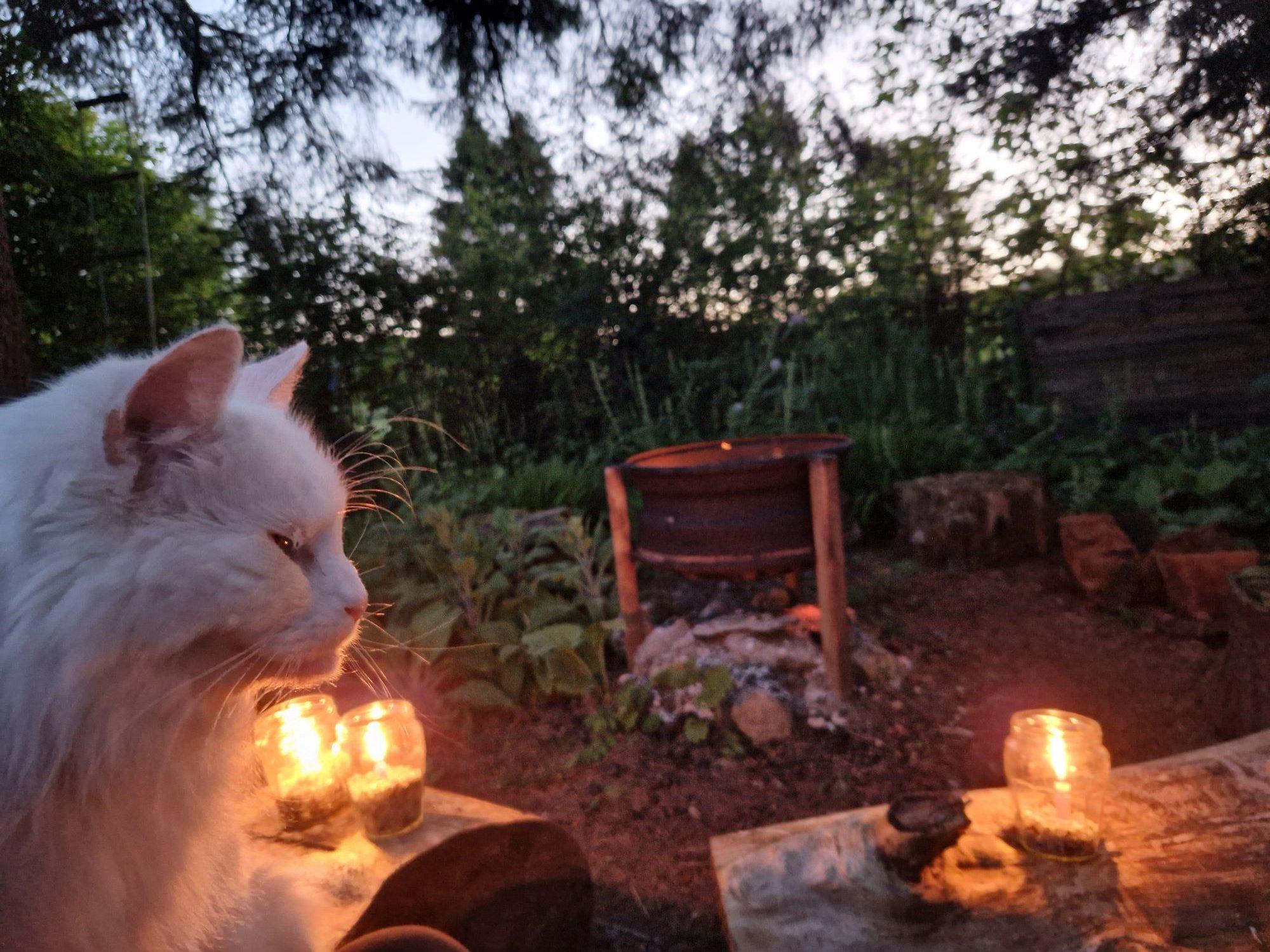 Candlelight Reflection - Celebrate & Commemorate All Your Life Defining ...